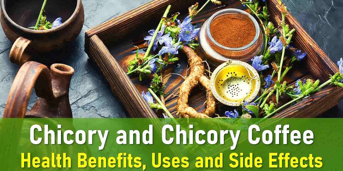 Chicory and Chicory Coffee: Health Benefits, Uses and Side Effects